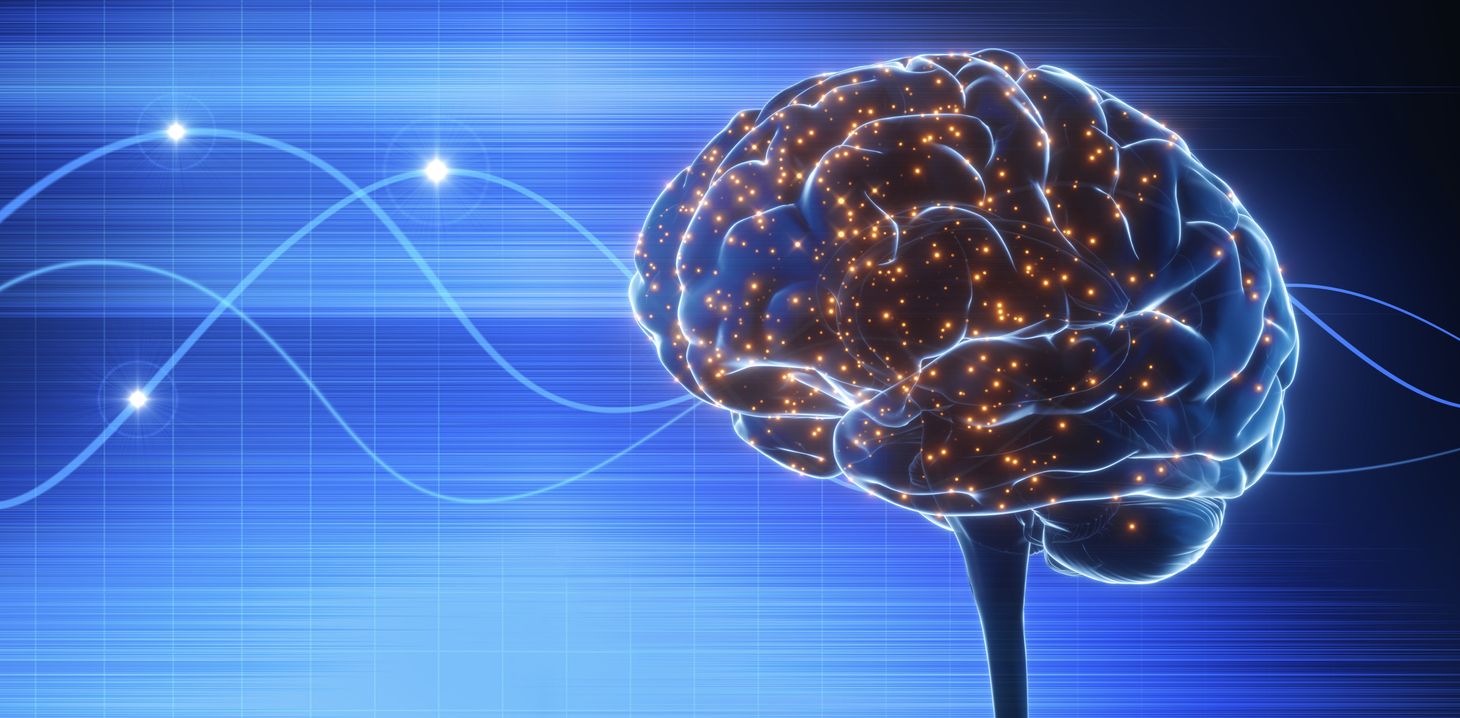 Human Brain Wallpapers - 4k, HD Human Brain Backgrounds on WallpaperBat Human Brain Wallpapers - 4k, HD Human Brain Backgrounds on WallpaperBat