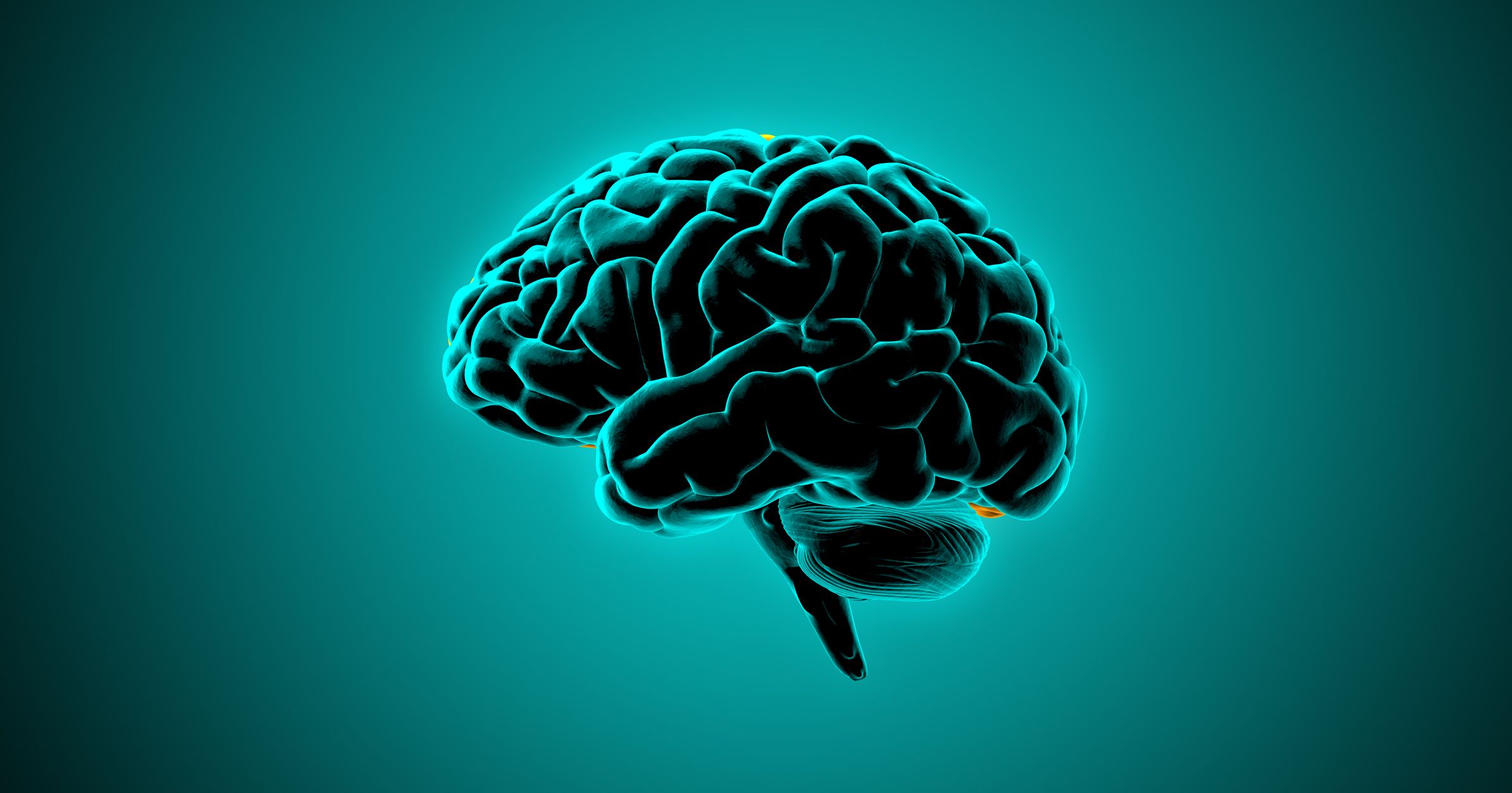 Human Brain Wallpapers - 4k, HD Human Brain Backgrounds on WallpaperBat Human Brain Wallpapers - 4k, HD Human Brain Backgrounds on WallpaperBat