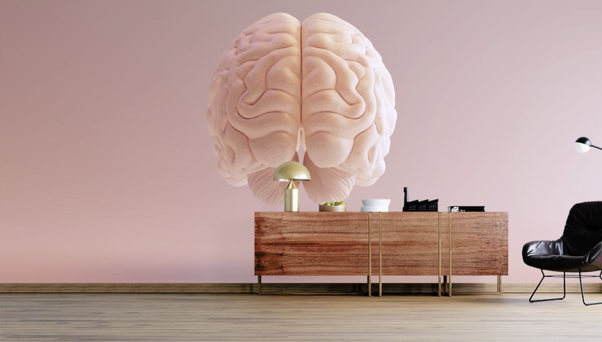 Human Brain Wallpapers - 4k, HD Human Brain Backgrounds on WallpaperBat Human Brain Wallpapers - 4k, HD Human Brain Backgrounds on WallpaperBat