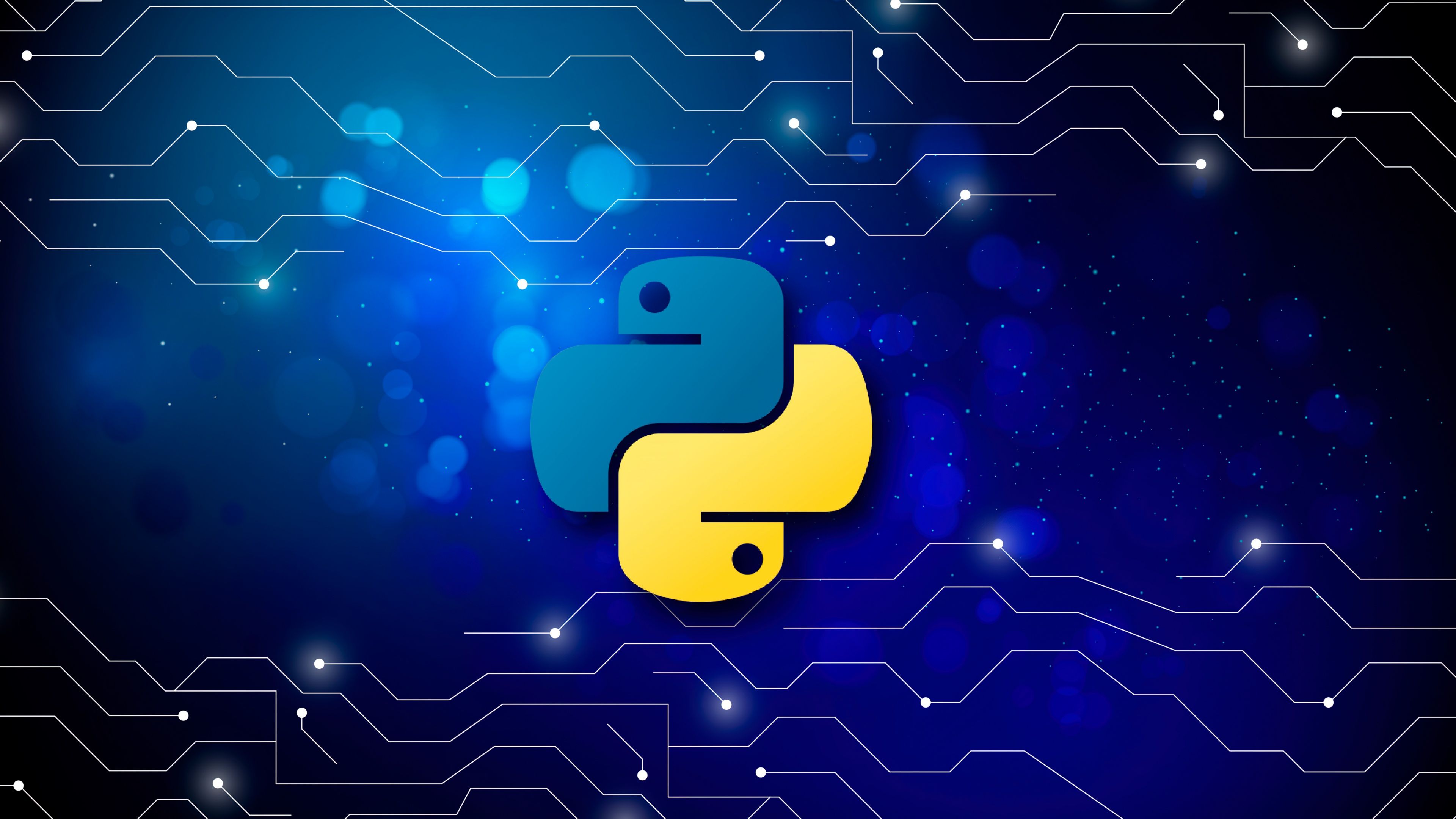 Python Programmer Wallpapers - 4k, HD Python Programmer Backgrounds on ... Python Programmer Wallpapers - 4k, HD Python Programmer Backgrounds on ...