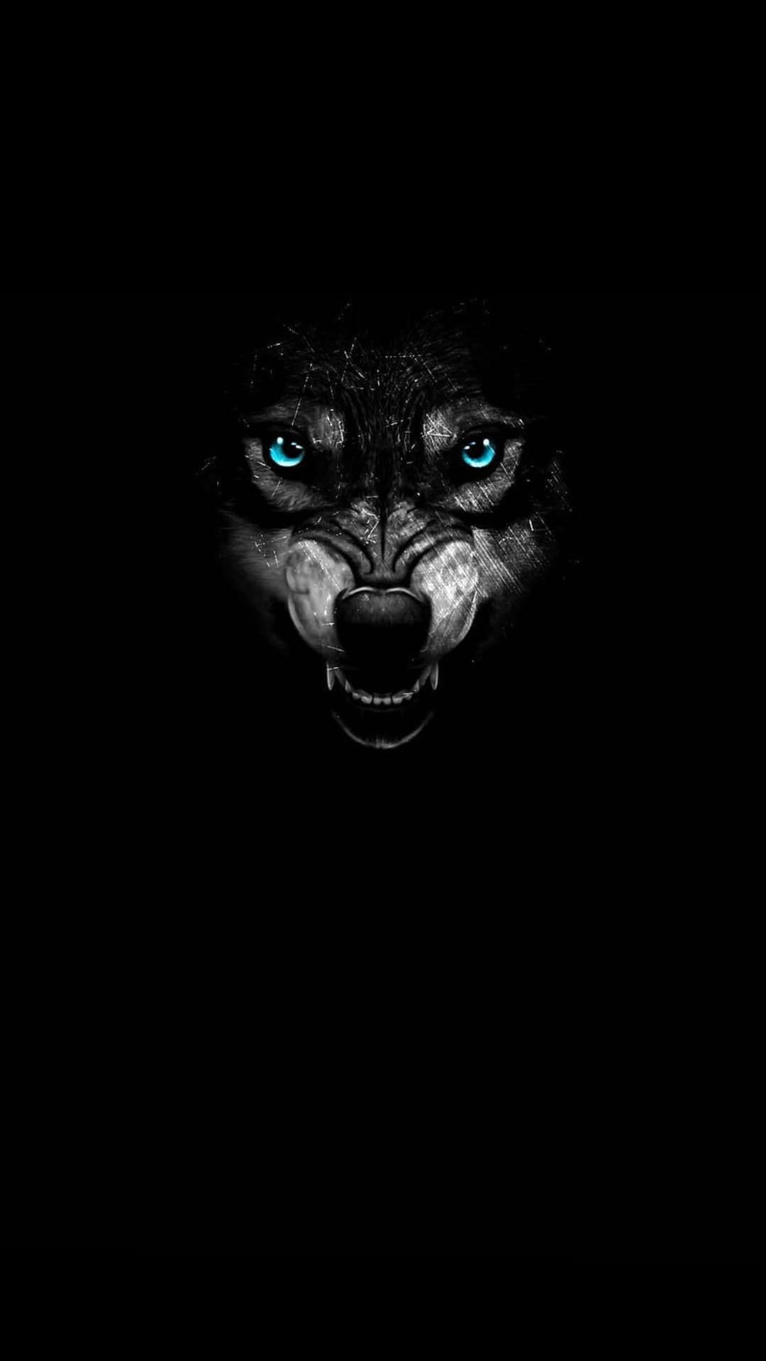 Dark Wolf Wallpapers 4k Hd Dark Wolf Backgrounds On Wallpaperbat