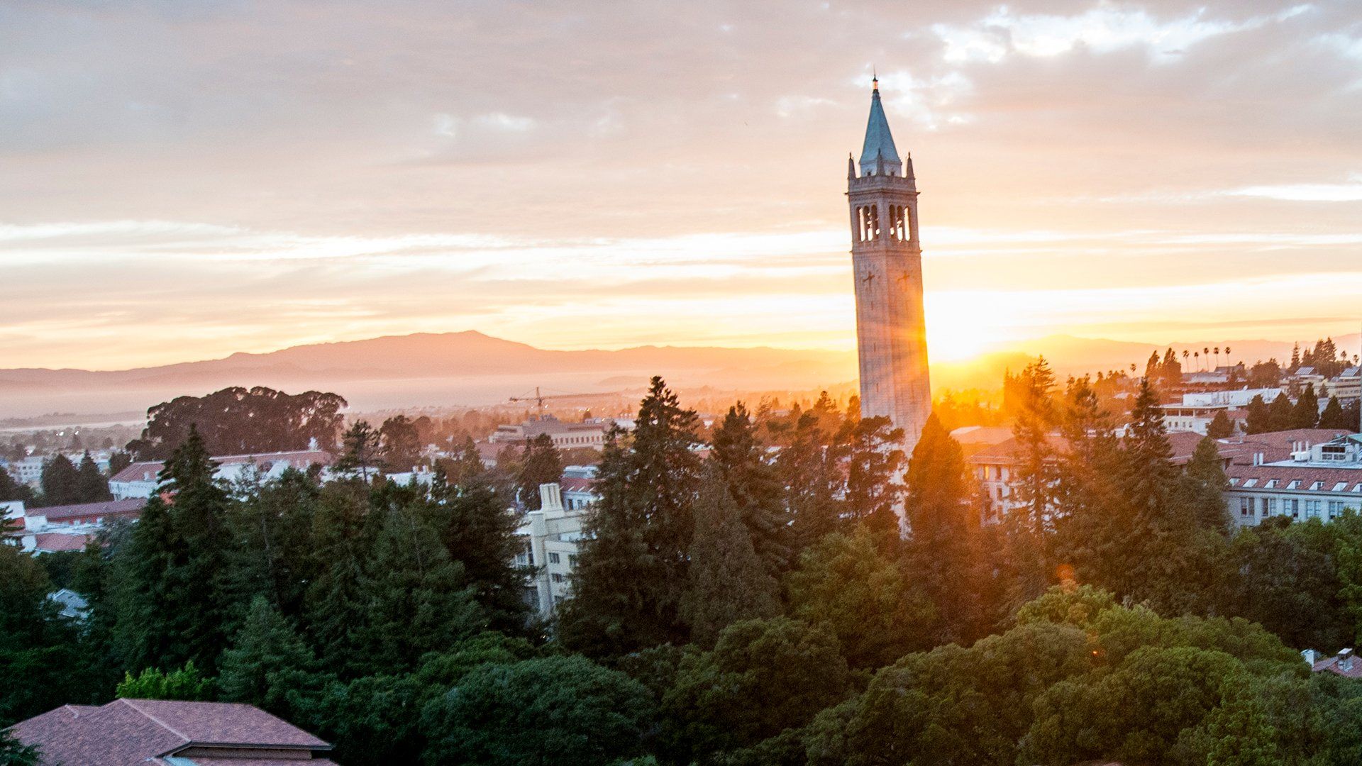 UC Berkeley Wallpapers - 4k, HD UC Berkeley Backgrounds on WallpaperBat UC Berkeley Wallpapers - 4k, HD UC Berkeley Backgrounds on WallpaperBat