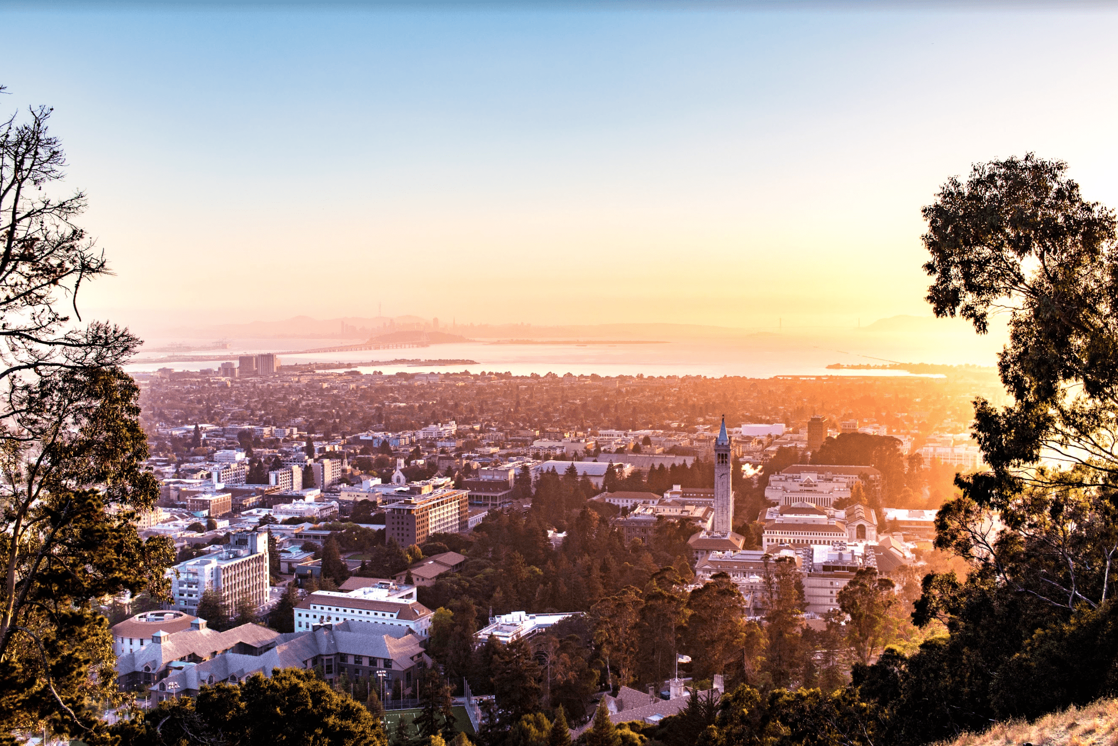 UC Berkeley Wallpapers - 4k, HD UC Berkeley Backgrounds on WallpaperBat UC Berkeley Wallpapers - 4k, HD UC Berkeley Backgrounds on WallpaperBat