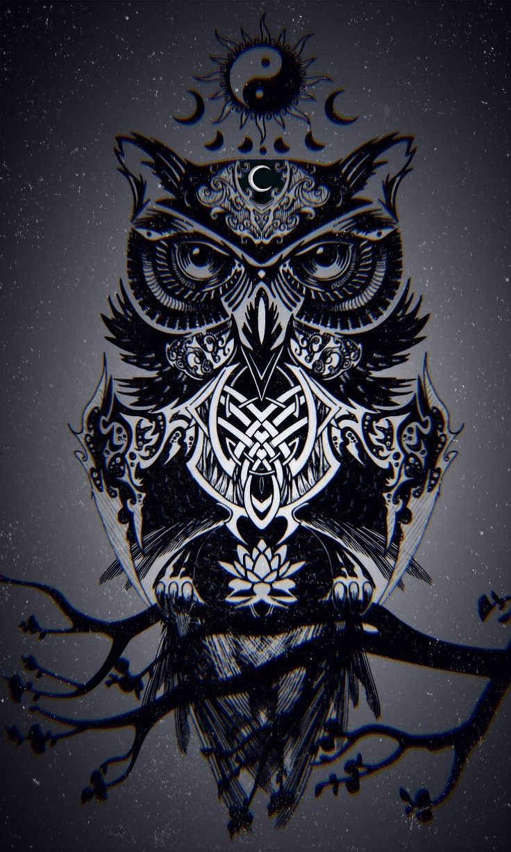 Dark Owl Wallpapers 4k Hd Dark Owl Backgrounds On Wallpaperbat
