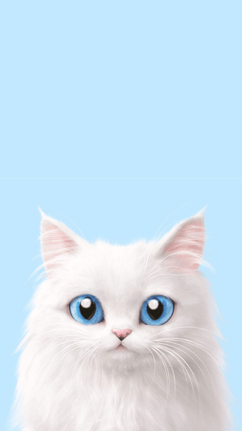 Aesthetic Cat Wallpapers 4k Hd Aesthetic Cat Backgrounds On Wallpaperbat