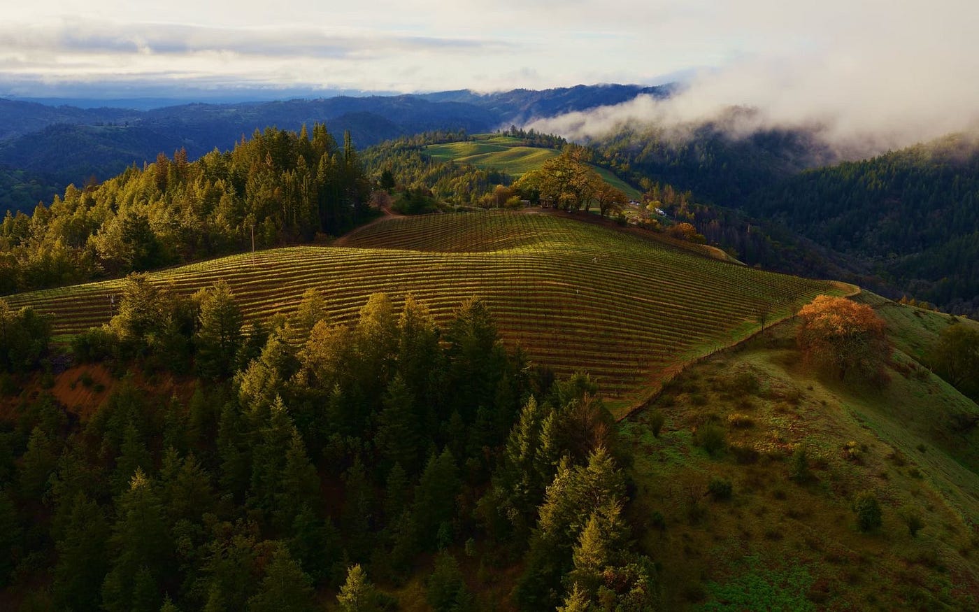 Macos Sonoma Wallpapers - 4k, HD Macos Sonoma Backgrounds on WallpaperBat Macos Sonoma Wallpapers - 4k, HD Macos Sonoma Backgrounds on WallpaperBat