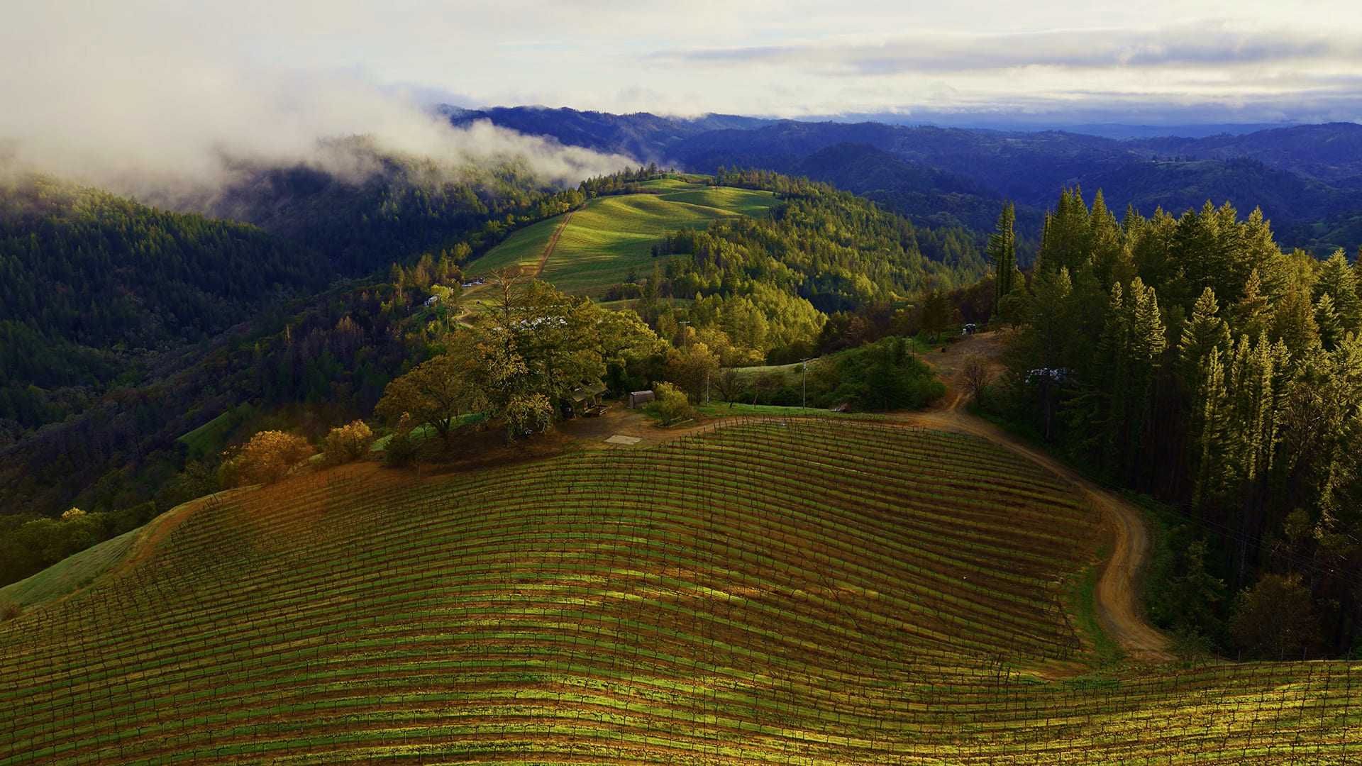 Macos Sonoma Wallpapers - 4k, HD Macos Sonoma Backgrounds on WallpaperBat Macos Sonoma Wallpapers - 4k, HD Macos Sonoma Backgrounds on WallpaperBat