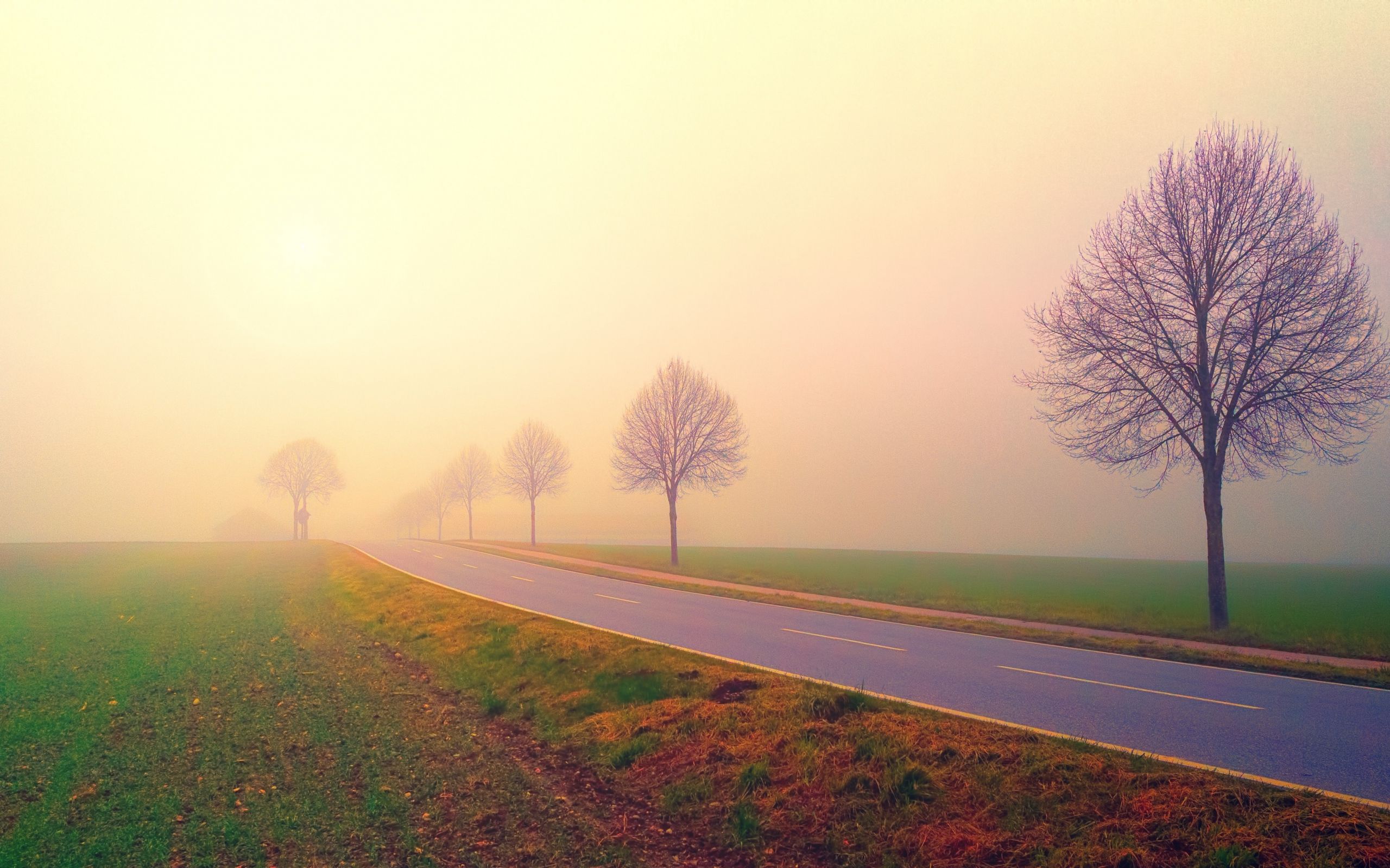 Sunrise Road Wallpapers 4k Hd Sunrise Road Backgrounds On Wallpaperbat