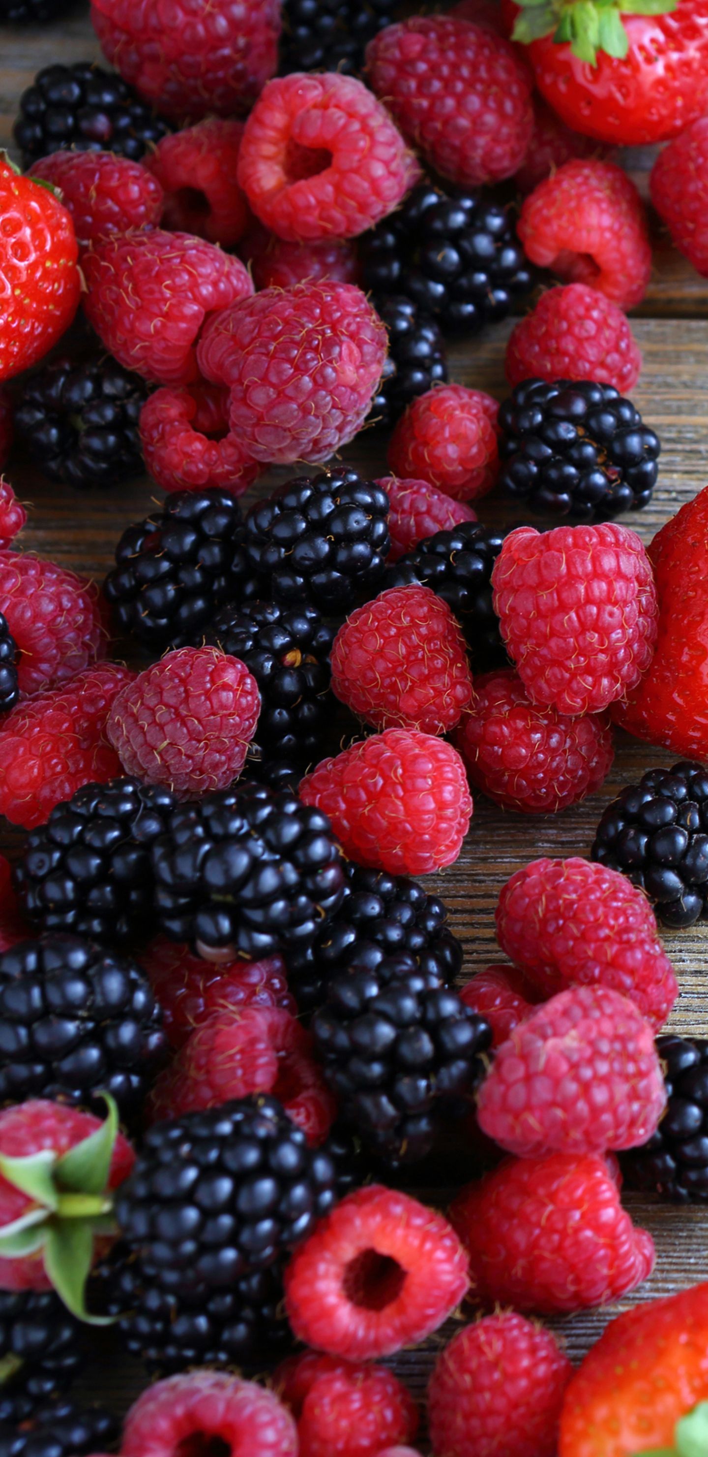 Wild Berry Wallpapers - 4k, HD Wild Berry Backgrounds on WallpaperBat